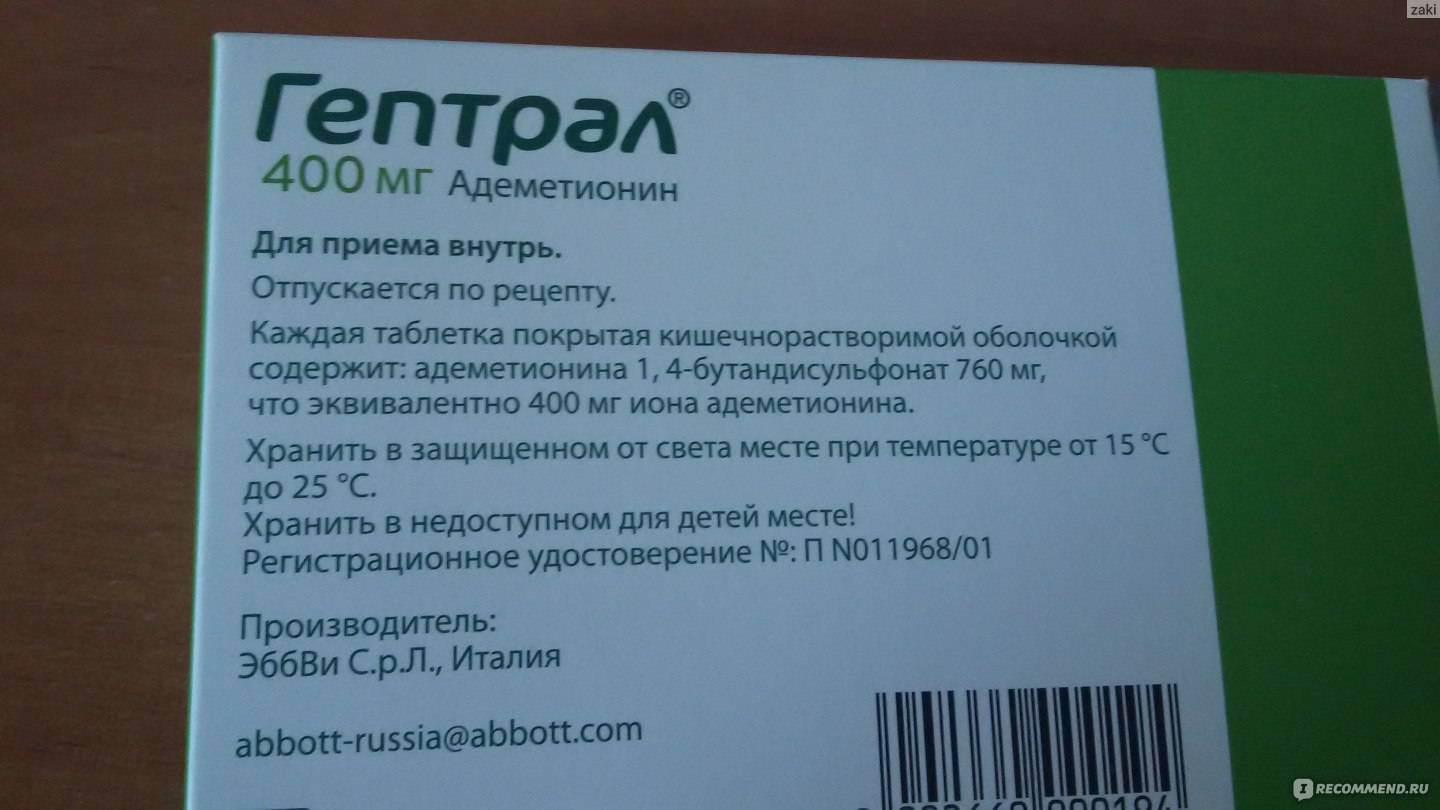 Гептрал для кошек - дозировка, инструкция по применению