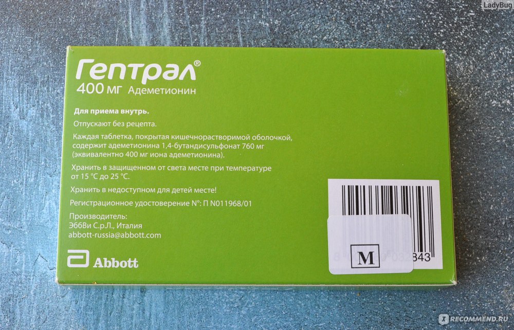 Гептрал для кошек - дозировка, инструкция по применению